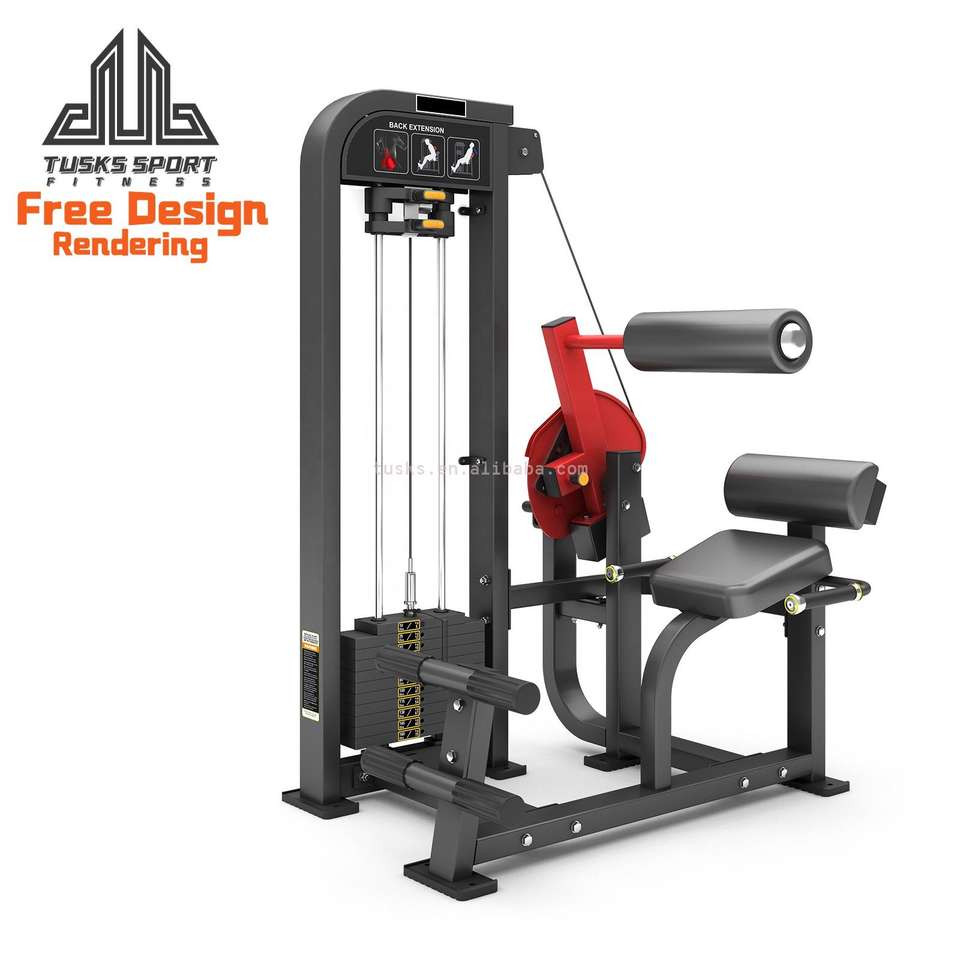 MOQ 1 Acceptable Strength Training Pin Loaded Gym Equipment ...