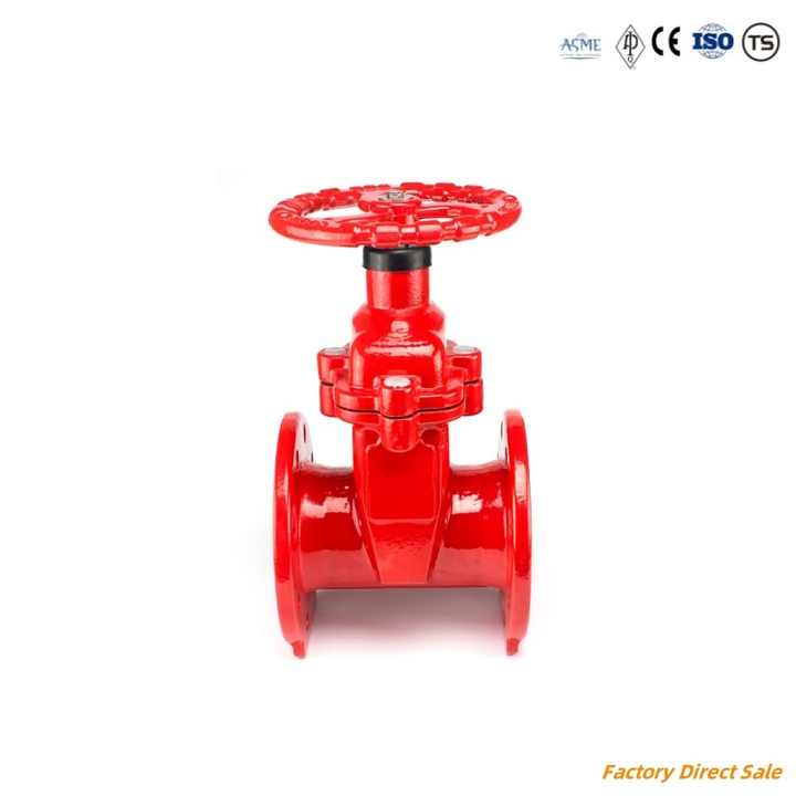 API600 DN60 PN16 Rising Stem Flexible Bolted Bonnet 150lb WCB CF8/CF8m Stainless Steel Flanged ...