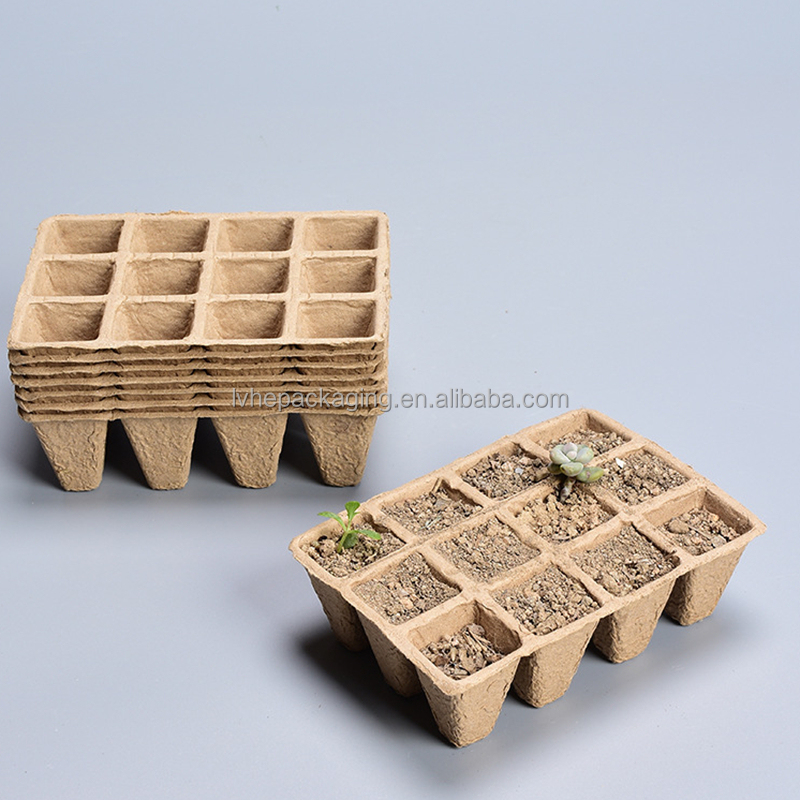 How to Choose the Best Seed Tray Paper Pulp: A Complete Buyer's Guide