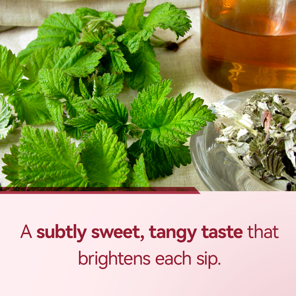 How to Choose Organic Fruit Flavored Loose Tea Leaf: A Complete Buying ...