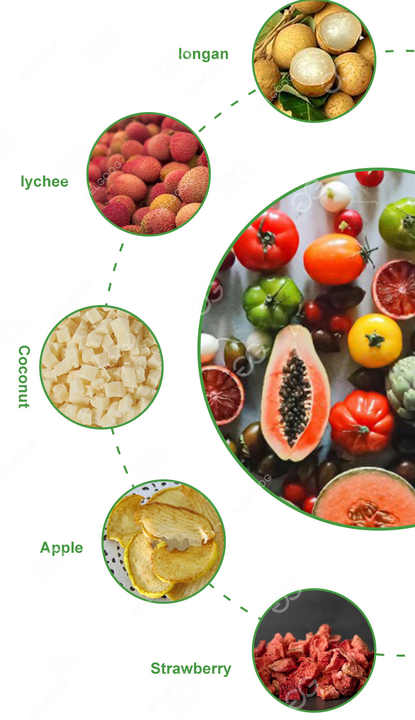 Gelgoog Electric Banana Chips Drying Machine - 33kw Power