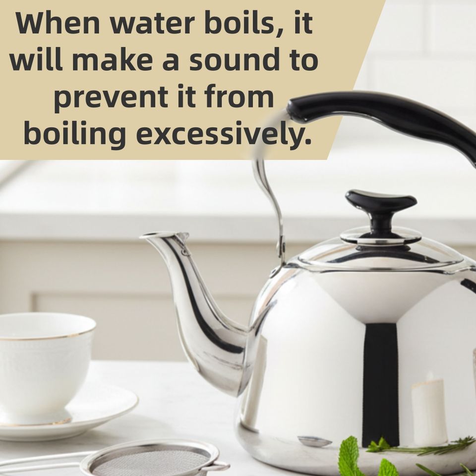 Stainless Steel Water Kettle with Bakelite Hand Grip for Gas ...