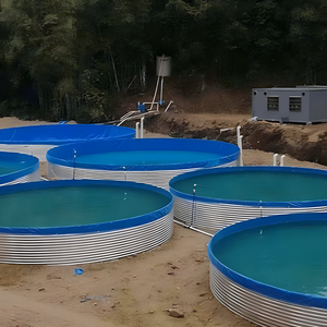 Wholesale tilapia fish farming With Recreational Features - Alibaba.com
