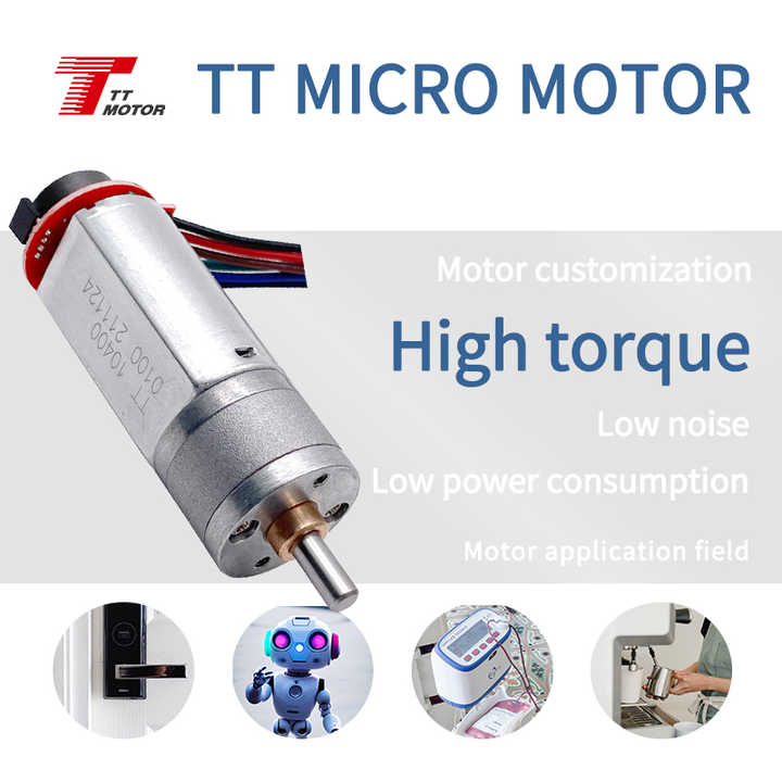 DC Motors by TT MOTOR - High Torque, Customizable Solutions