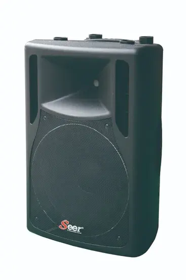 High-End PA-12II 2.0 Channel Wood Passive PA Speakers Professional ...