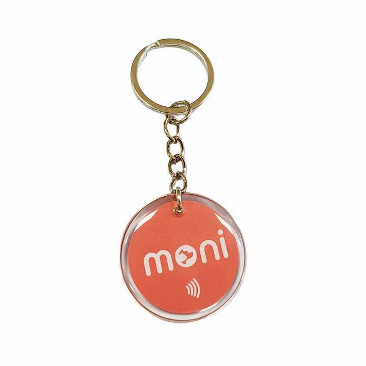 Customizable NFC RFID Keychain Programmable Logo 13.56MHz Mini Tag ...
