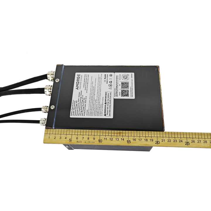AMORGE 16S6P 60V 30AH Battery Pack with ANT Bluetooth BMS