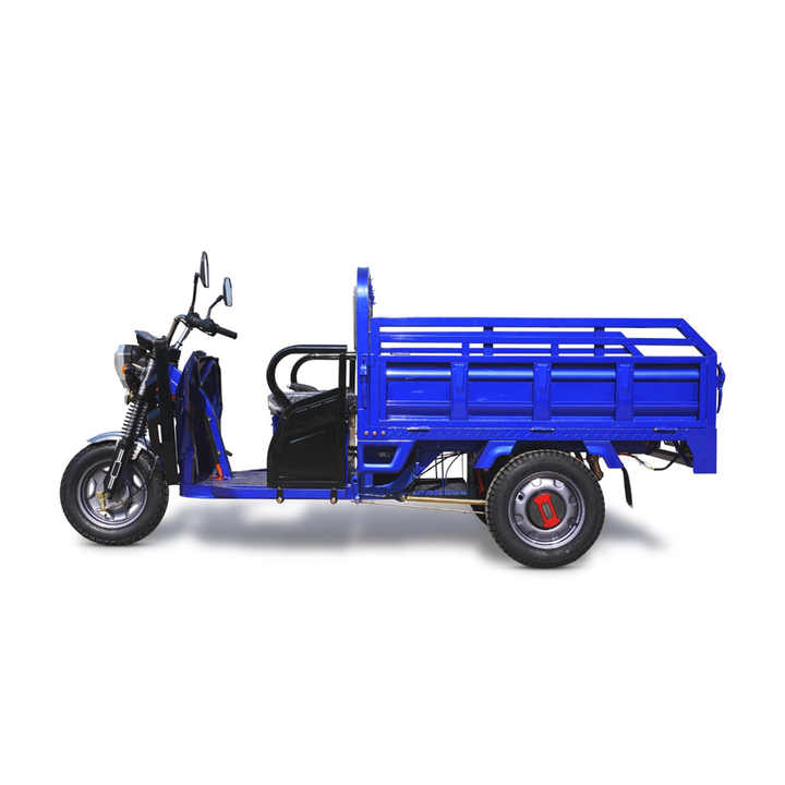 Powerful 1500W Electric Cargo Bike Closed Reverse Tricycle Type with ...