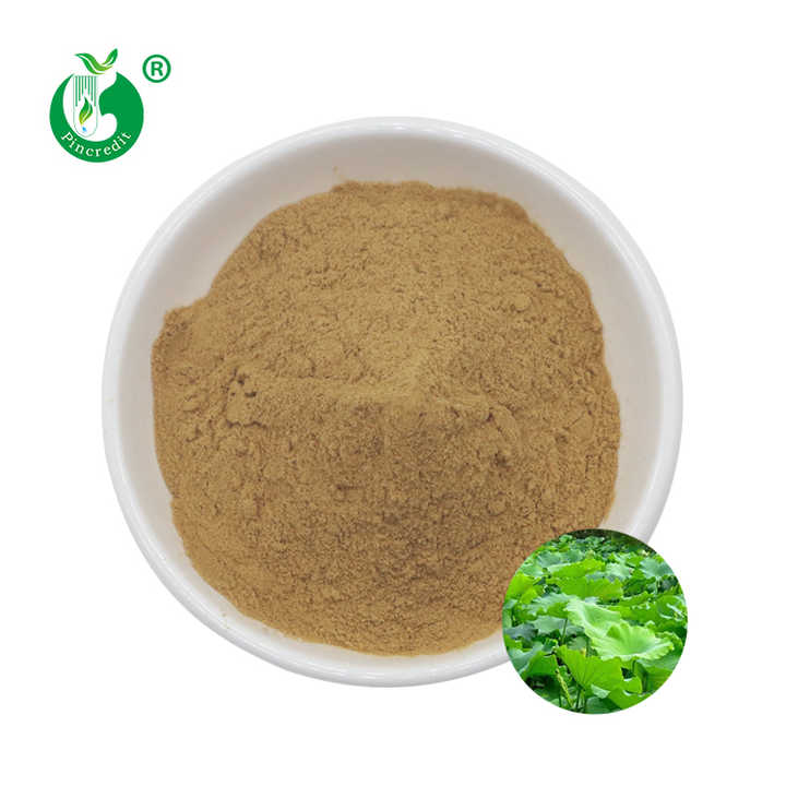 High Quality Nelumbo Nucifera Extract - Lotus Leaf Benefits
