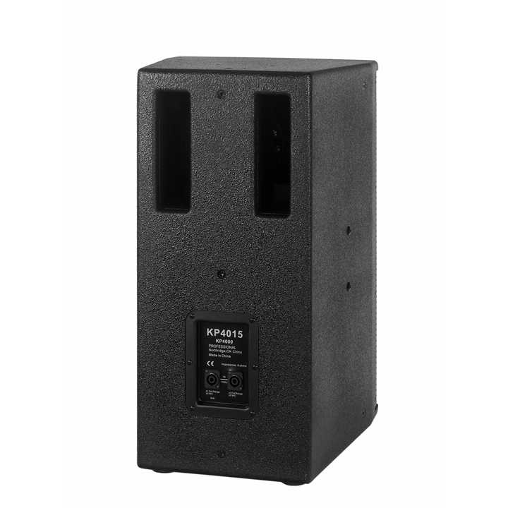 Custom 900W 2000W Full Range Bass Woofer for DJ & Party