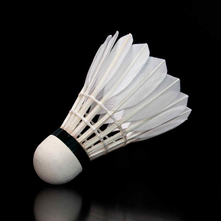 LINGMEI-90PRO Durable Quality Goose Feather Shuttle Birds Best ...
