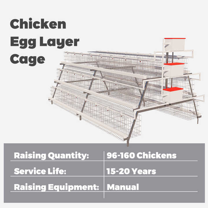 A Type Chicken Egg Layer Cages RTL 3 4 Tiers Laying Hens Battery ...
