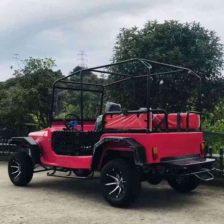Special Transportation Adults and Children Mini Jeep Utility Vehicle ...