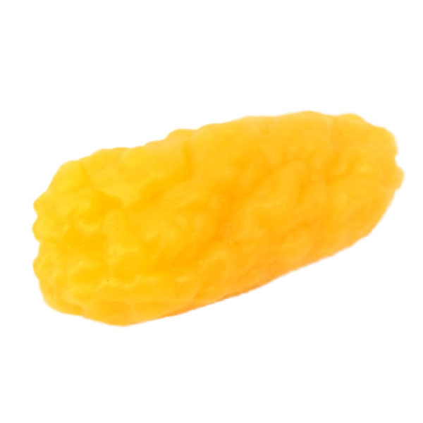 Human Fat Anatomical Model - 1kg Teaching Tool for Medical Science