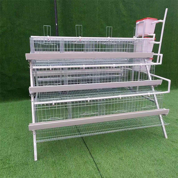 Production Base Installation Guide Cage for Chickens Chicken Farming ...