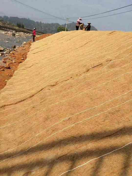 Coconut Fiber Mats for Erosion Control - Durable & Sustainable