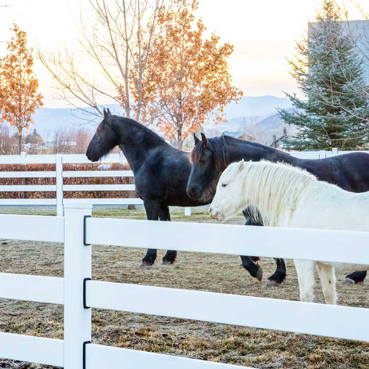 Metal Fence for Horse Paddock Fencing Steel 3 Rail Steel Fence for ...