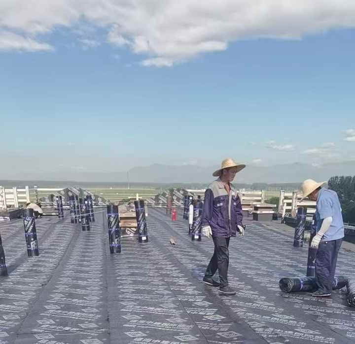 Modern Design SBS Elastic Asphalt Waterproof Membrane Polyester EPDM ...