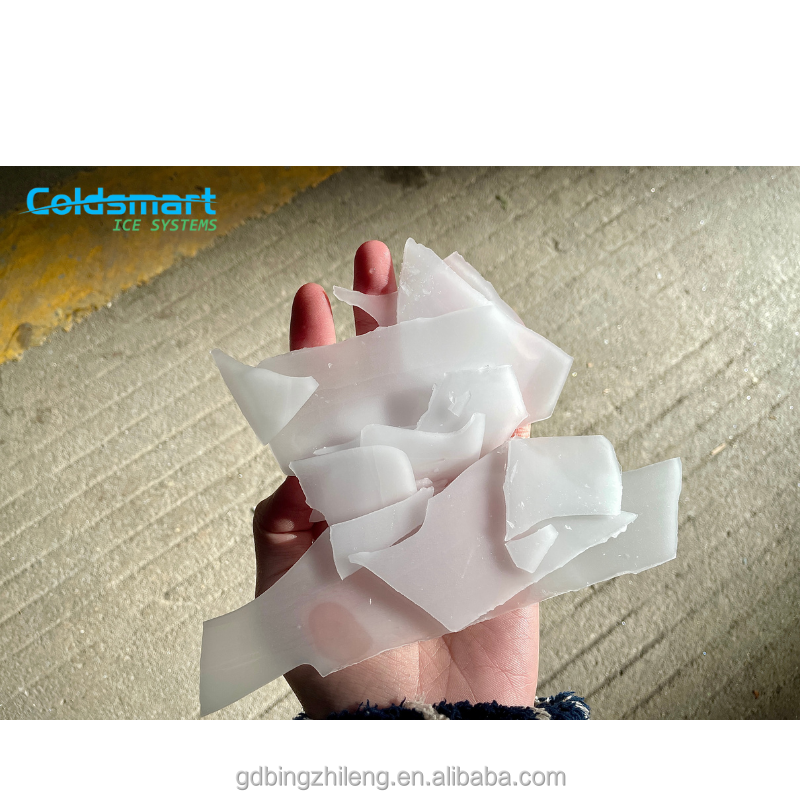 Coldsmart Industrial Ice Making Machines 1/2/3/5/8/10Ton Flake Ice ...