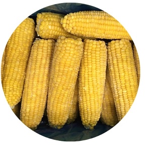 Buy Peru Giant Corn Snacks Wholesale | Premium Quality