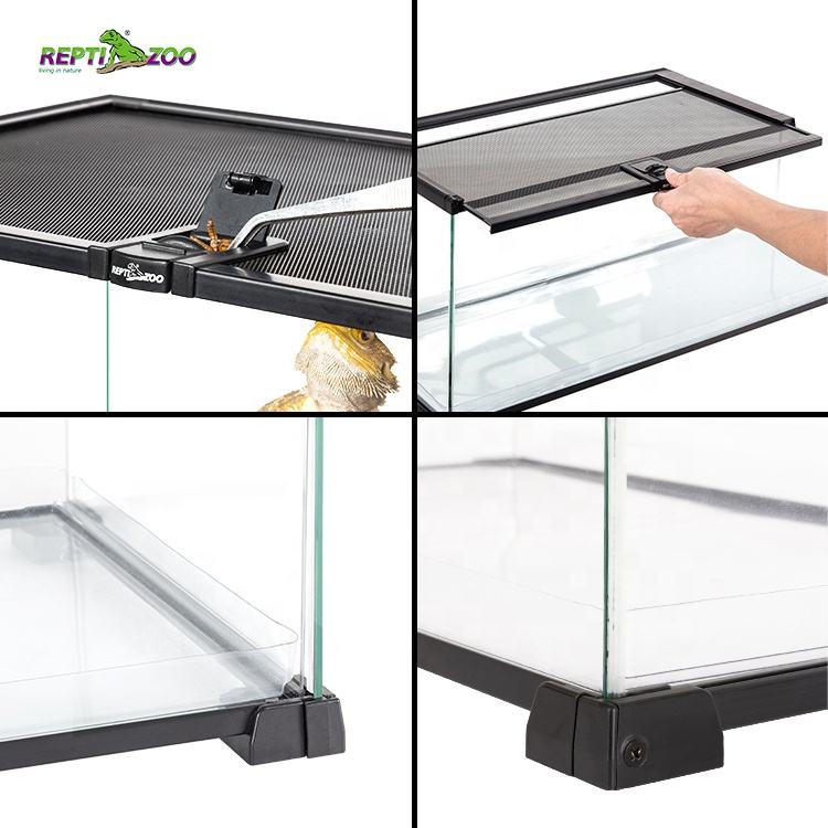 How to Choose the Best 10 Gallon Terrarium: A Complete Buying Guide