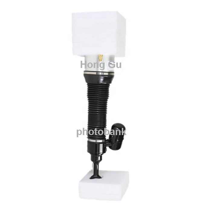 New for Bentley Continental Air Strut 3W5616039 3W8616039 Front Left ...