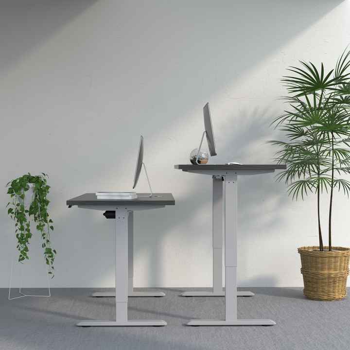 AOKE Dual Motor Adjustable Electric Desk Lift Mechanism