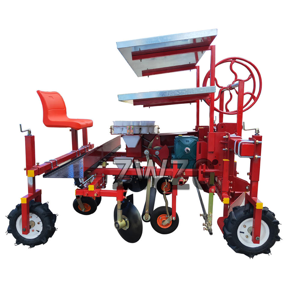 Efficient Seedling Transplanting with 1-Row Transplanter