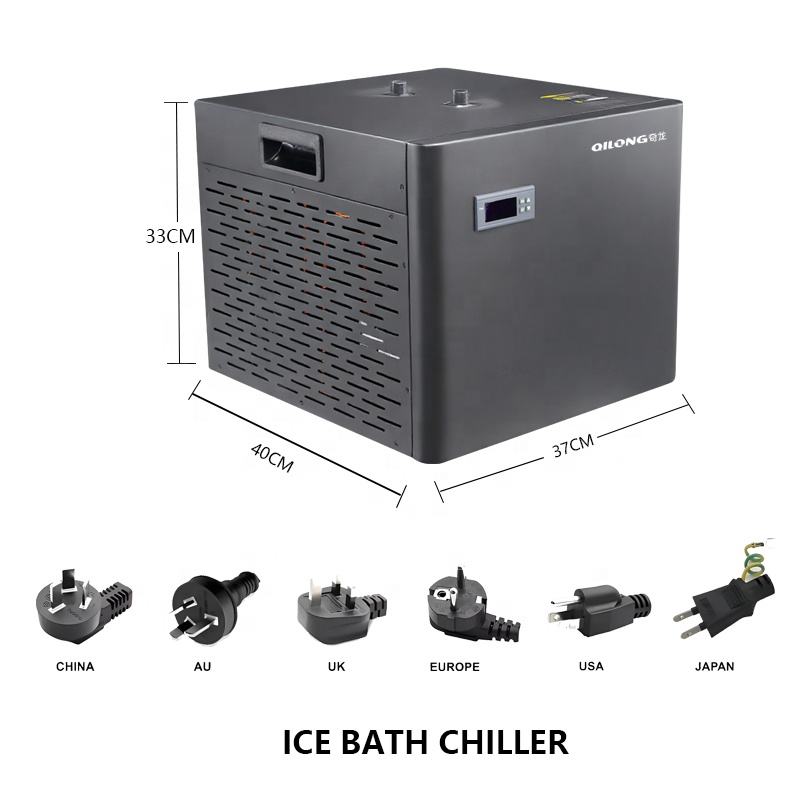 1/3HP Automatic Ice Bath Chiller Engine Water Cooler Compressor Pump ...