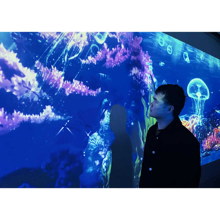 Marine Ecosystem Interactive Museum Projector Kids Projector Immersive ...