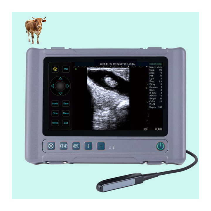 Veterinary Abdominal Cattle Back Fat Ultrasonido Vet Ultrasound