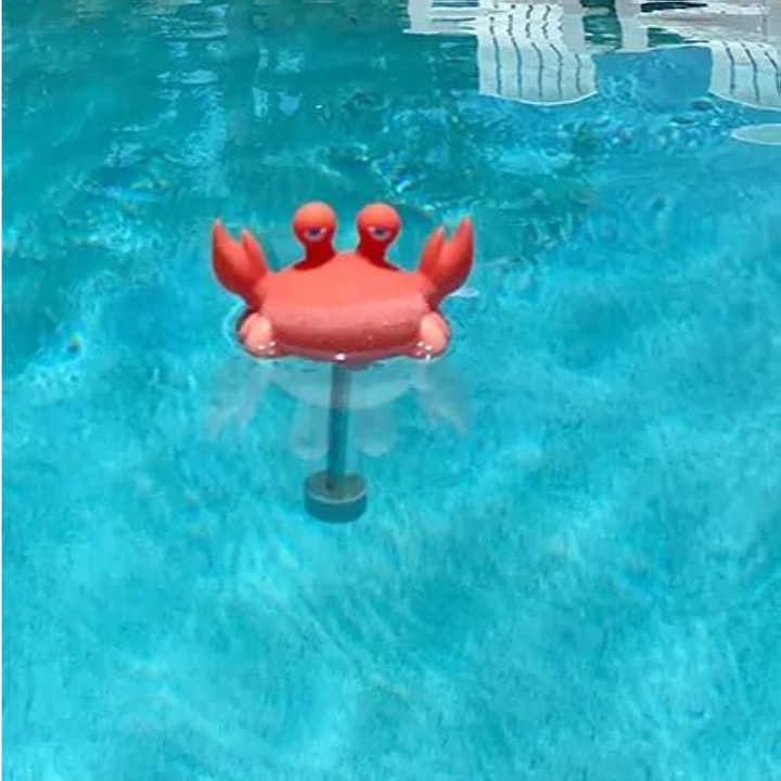 Crab Large Size Easy Read with String for Outdoor and Indoor Swimming ...