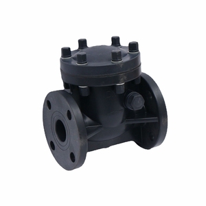 6 Inch PVC Check Valve - High Quality Water Flow Control