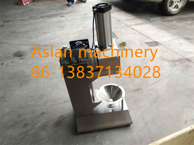 Coconut Peeling Machine - High Performance 2025 Model