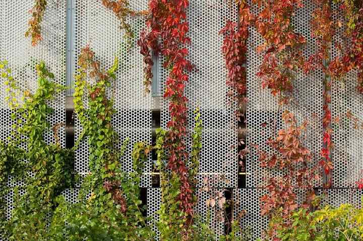 Customized Metal Perforated Sheet Hole Plate for Machine Guard ...