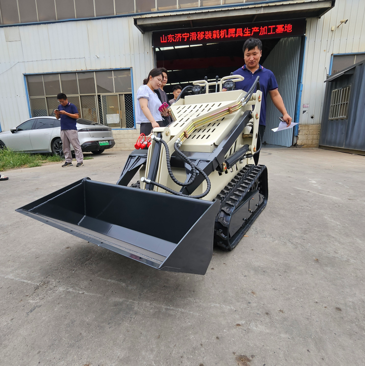 FJX-330S Mini Skid Steer Loader, Mini Crawler Loader, High-Quality ...