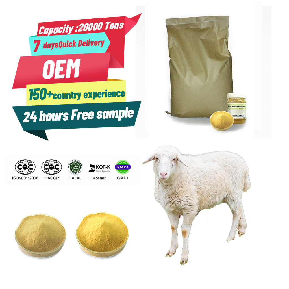 How to Choose Yeast Extract Powder Hydrolysed for Animal Feed: A ...