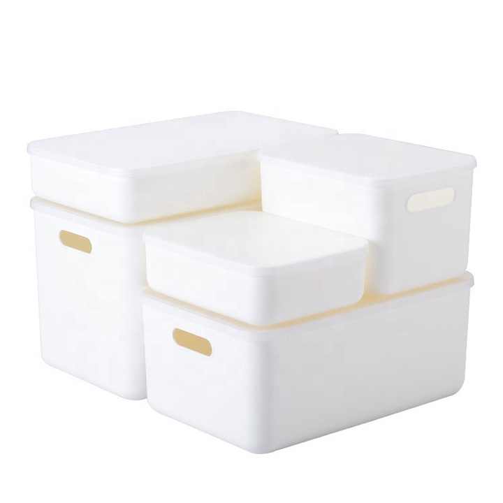Ikea Plastic Storage Bins - Small White Container with Lid
