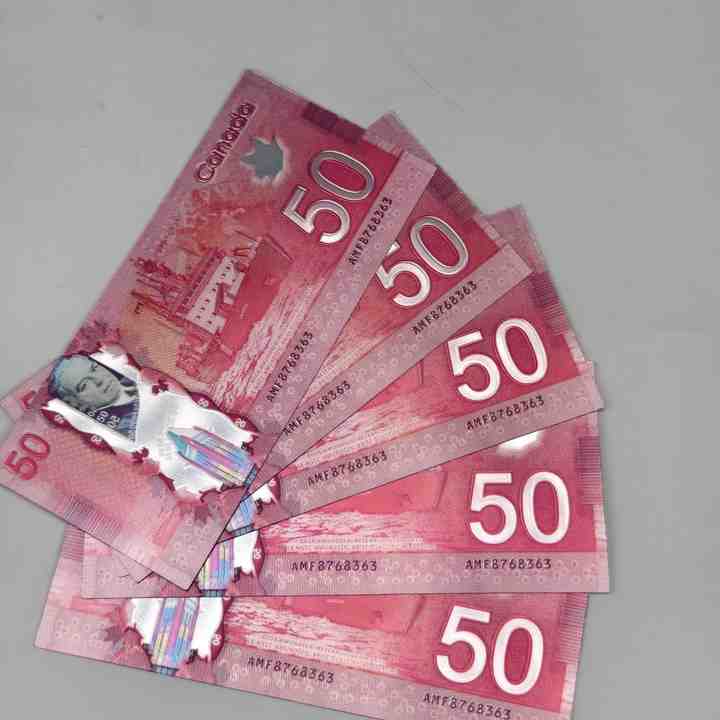 Plastic Movie Prop Money Canada Counterfeit Canadian Fake Money 50 ...
