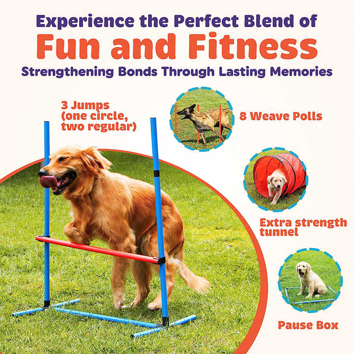 Custom Dog Agility Training Equipment Dog Agility Course Backyard Set ...