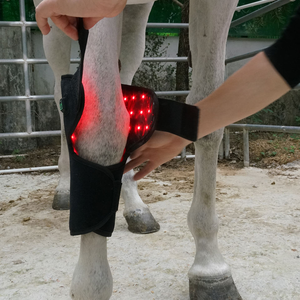 KingBrite Led Grow 660nm 850nm Equine Horse Knee Infrared Light Horse ...