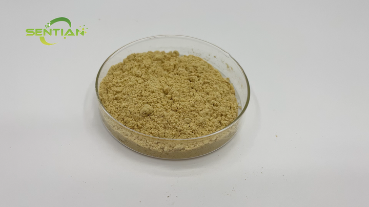Acer Saccharum Powder - Maple Leaf Extract 10:1 Solvent
