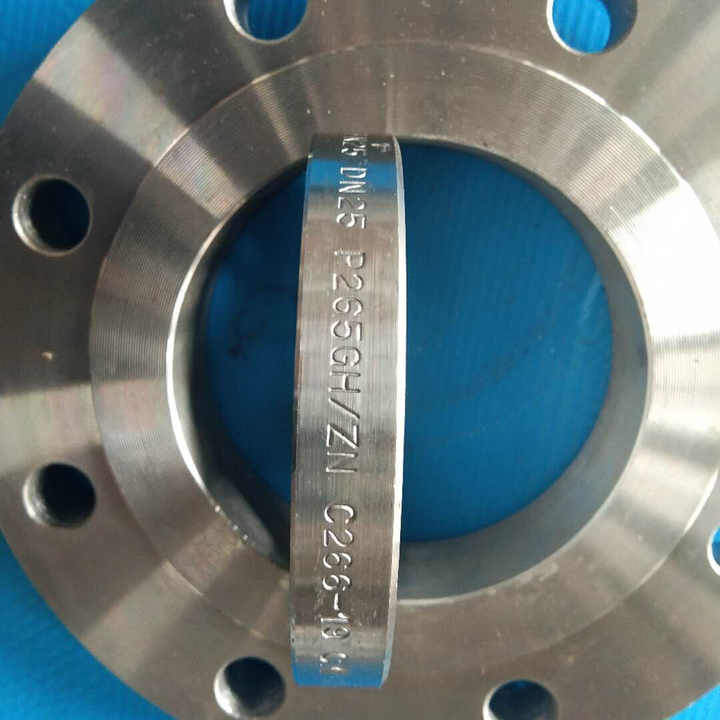 Plate Flange DN20 DN40 Pn40 Flange Din Standard - CZIT