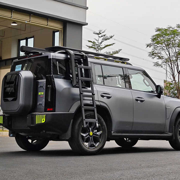 High Quality Telescopic Black Side Ladder Foldable Roof Ladder for ...