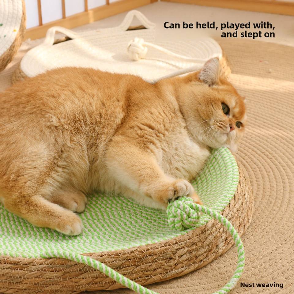 Modern Fashion Rectangle Cat Scratching Board Bed Wear-Resistant Non ...