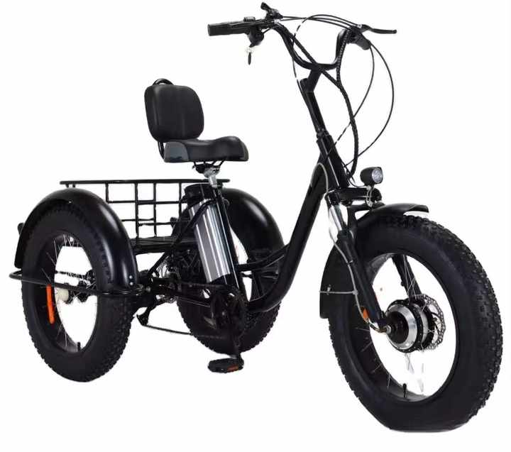 2024 New Three Wheeler Heavy Loading Adult 350W Motor Bicycle City ...