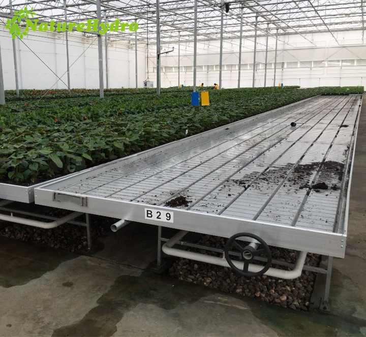 White Black 2x4 4x4 4x8 ABS Plastic Grow Trays grow table ebb and flow ...