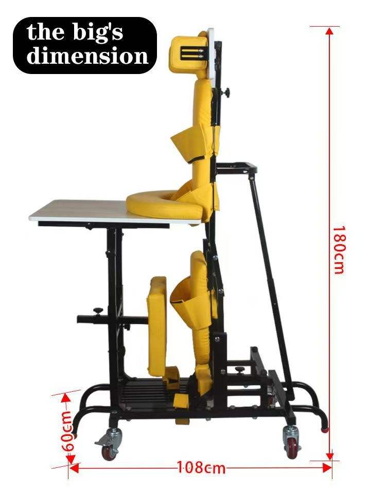 Standing Frame for Leg Muscles Atrophy Muscle Strength Training ...