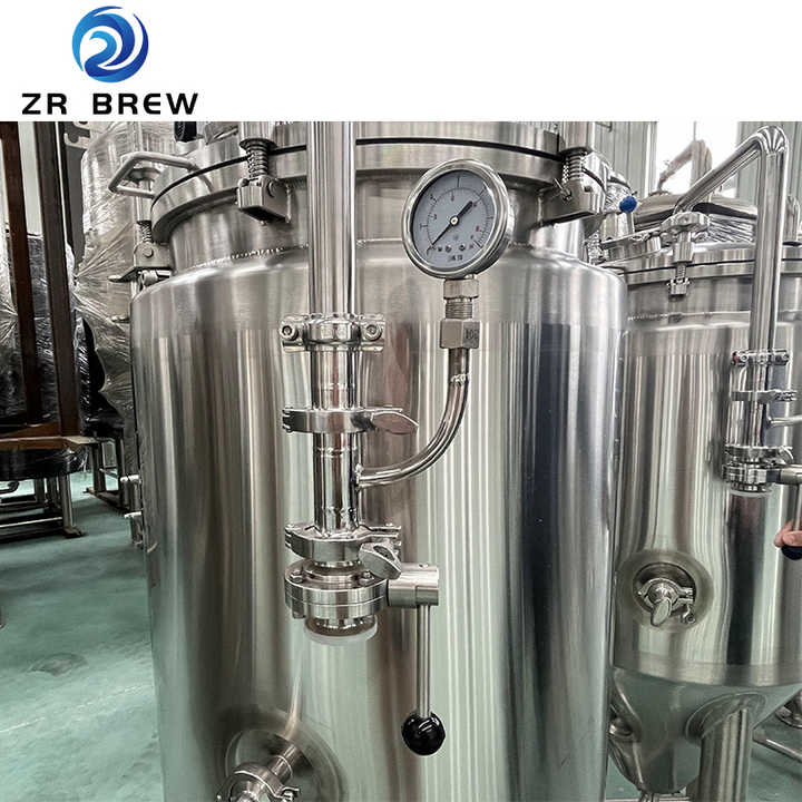 ZR BREW 100L 300L 600L Micro Brewery Beer Fermenter Stainless Steel Beer Brewing Equipment for ...