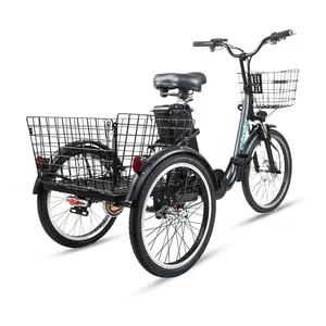 Powerful pullman tricycle taiwan technology tricycle egypt origin ...